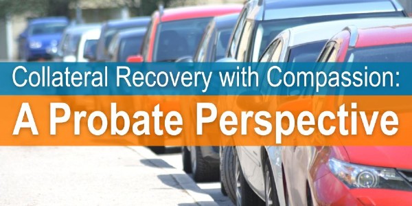 Collateral Recovery with Compassion: A Probate Perspective